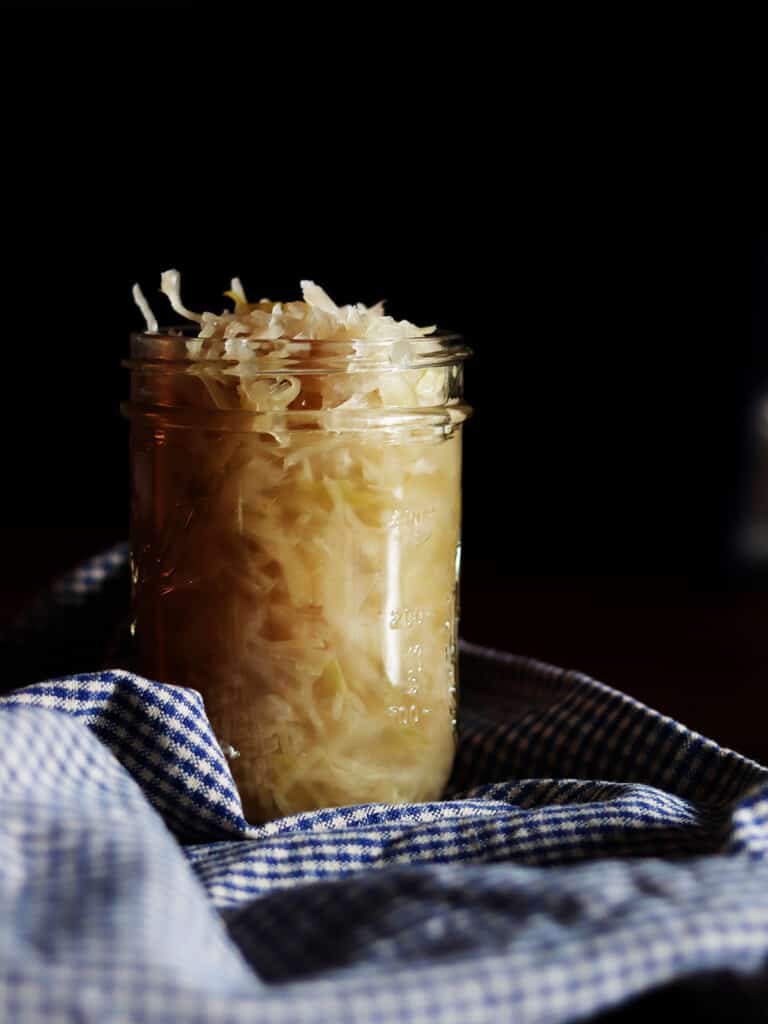 Top 10 Fermented Foods List - One Happy Dish