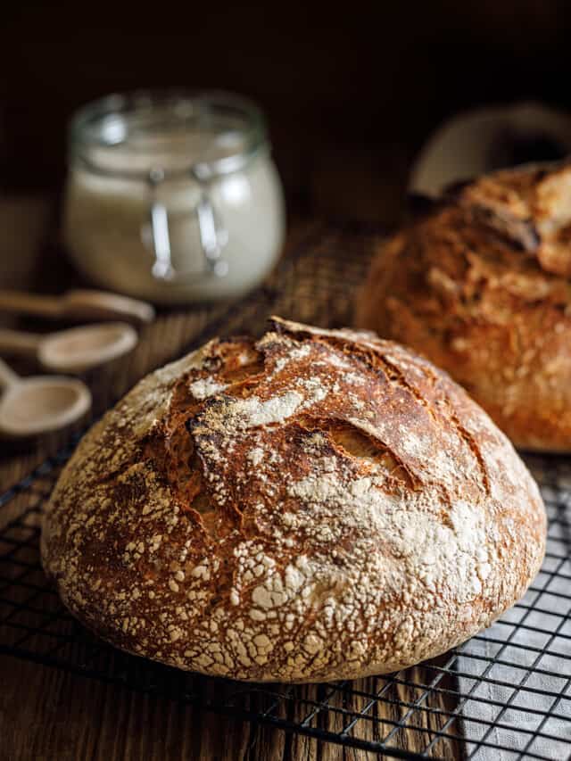 Fermented Foods: What They Are + 10 Easy Foods to Try - One Happy Dish
